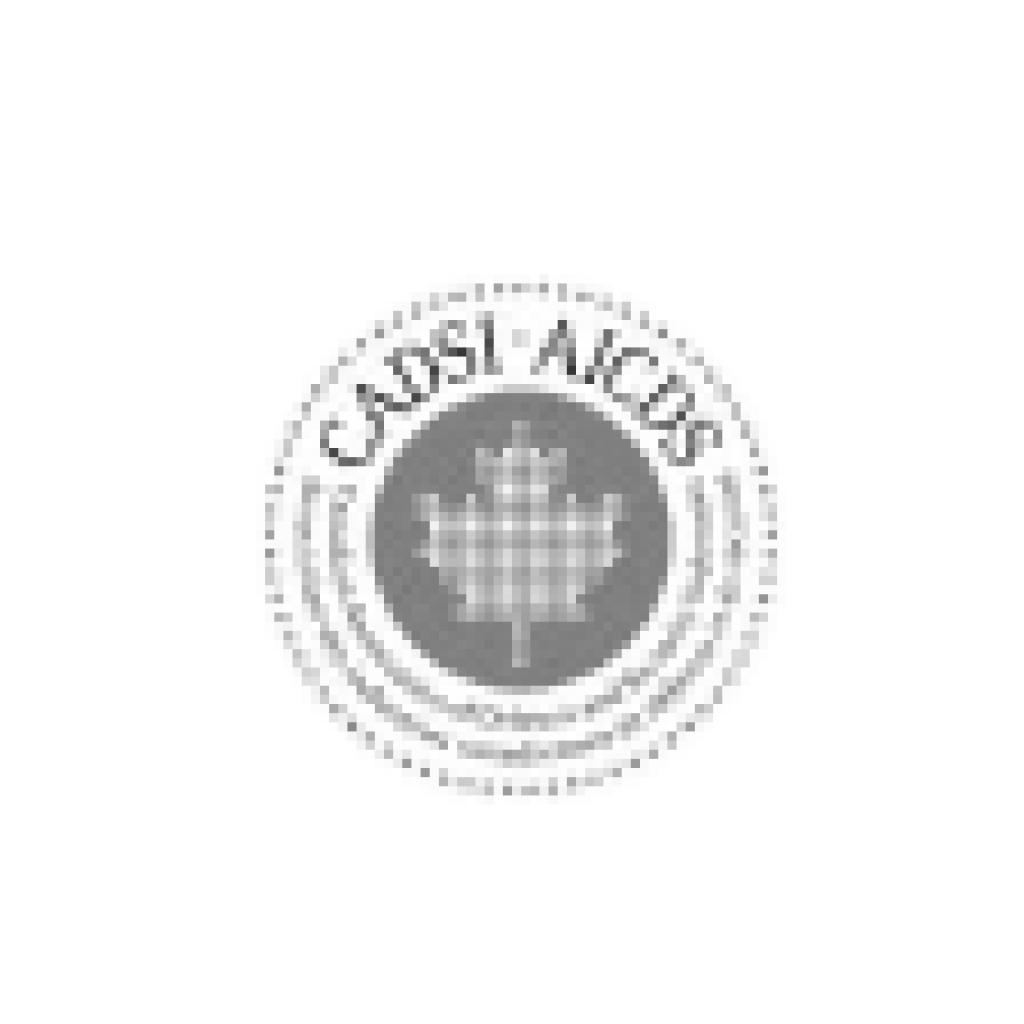 cadsi - Accu Solutions